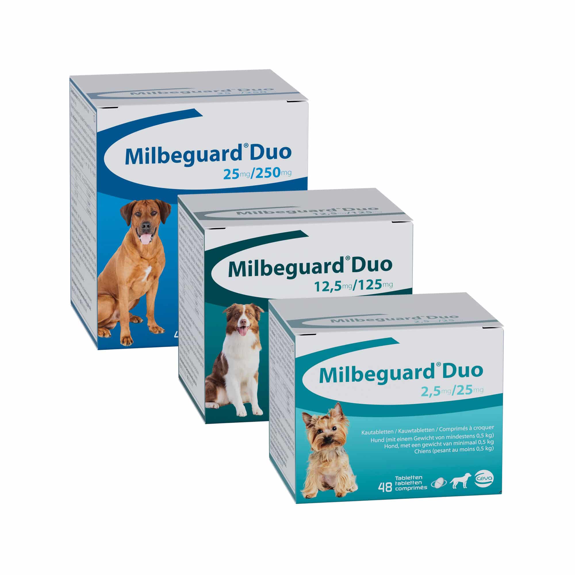 Milbeguard Duo Hund kaufen? - DrPetcare.de - Ihre online Tierapotheke!